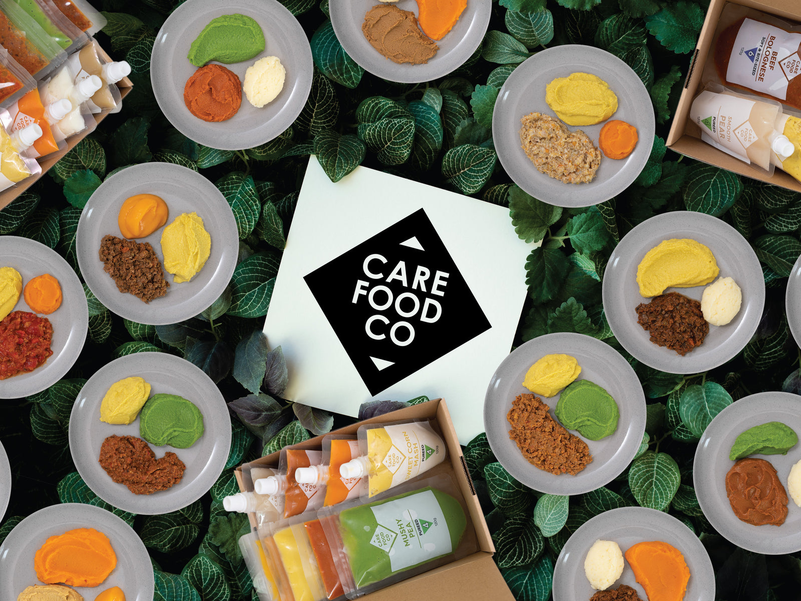 Meal Box 1 - (2 Meals) Minced and Moist Diet – Care Food Co